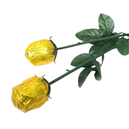 Gold Candy Tagged "Foil Wrapped Chocolates" - All City Candy