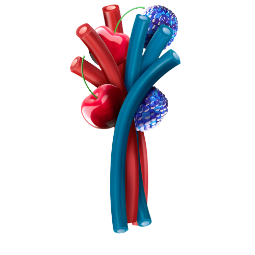 Jolly Rancher Ropes Blue Raspberry and Cherry - All City Candy