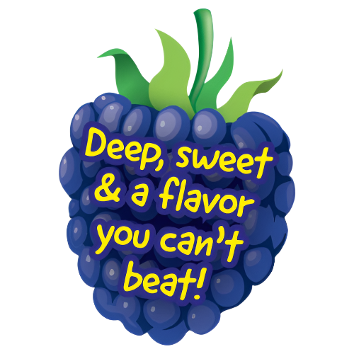 Rips Bite Size Blue Raspberry Candy 4oz – Tangy, Fruity Licorice - All ...