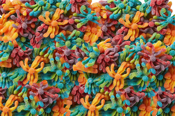 Trolli Sour Brite Octopus Gummi Candy - Bulk Bags - All City Candy