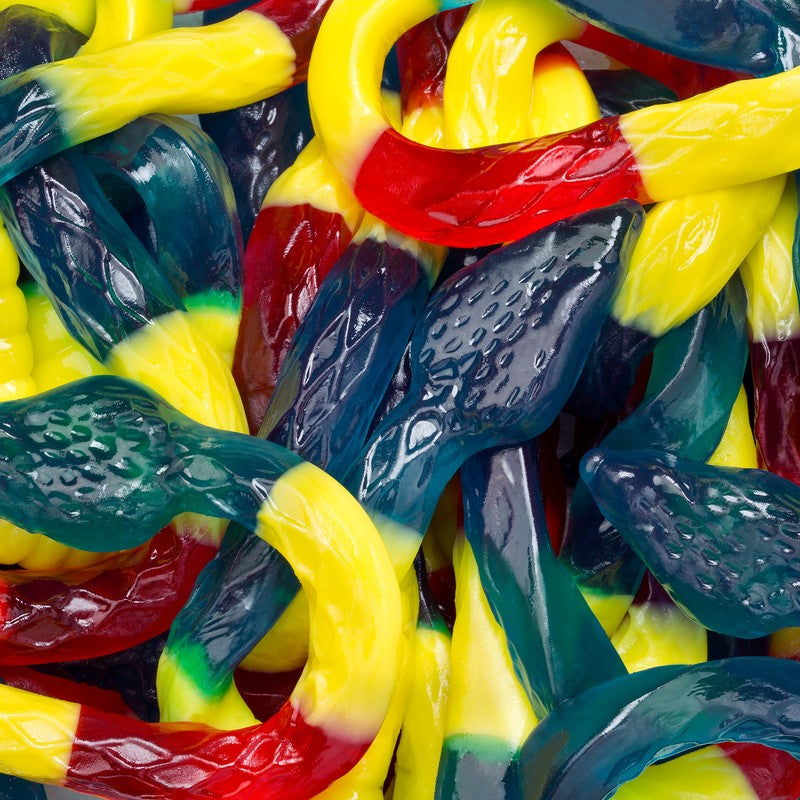 Giant Gummi Rattlesnake - Bulk Bags - All City Candy